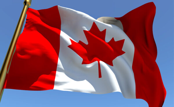 Fun Facts about Maple Trees - Titan Tree Care