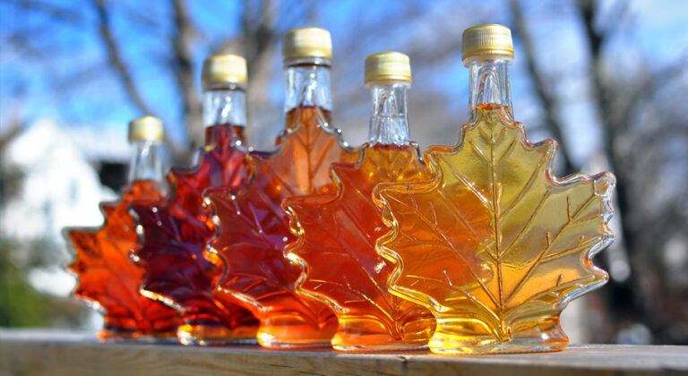 Fun Facts about Maple Trees - Titan Tree Care