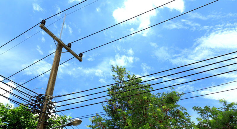Power Lines and Planting Trees: What You Need To Know - Titan Tree Care