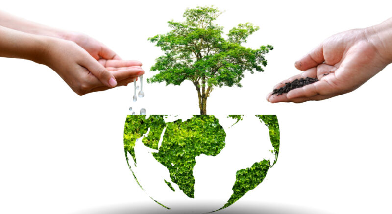 Nurturing Trees Vitality: The Titan Tree Care Approach to Tree ...