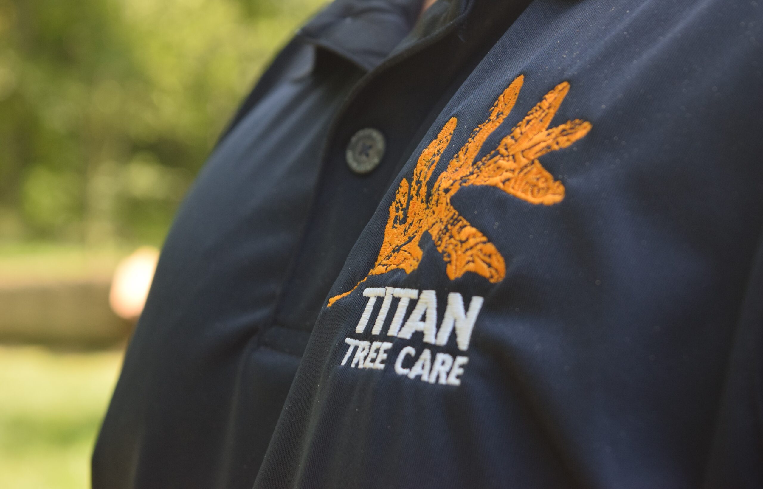 Getting Back to the Basics: Why You Should Hire a Certified Arborist ...